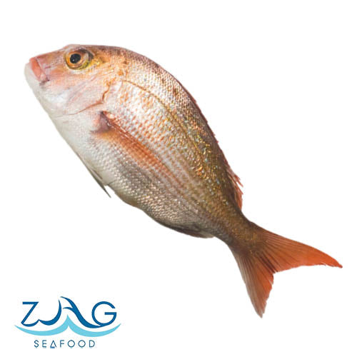 Australian Snapper (Whole) | ZAG Seafood
