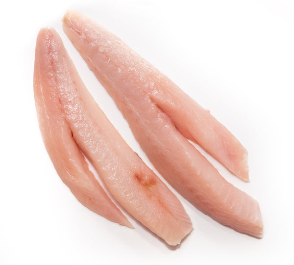 Australian Flathead Fillets | ZAG Seafood