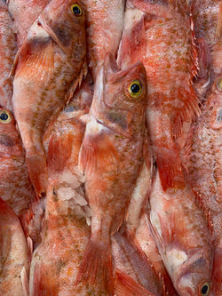Buy Fresh Whole Fish Online With Delivery | ZAG Seafood