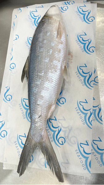 Frozen Milk Fish | ZAG Seafood