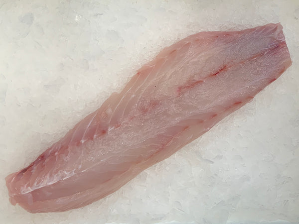 Australian Blue Eyed Cod Fillet | ZAG Seafood