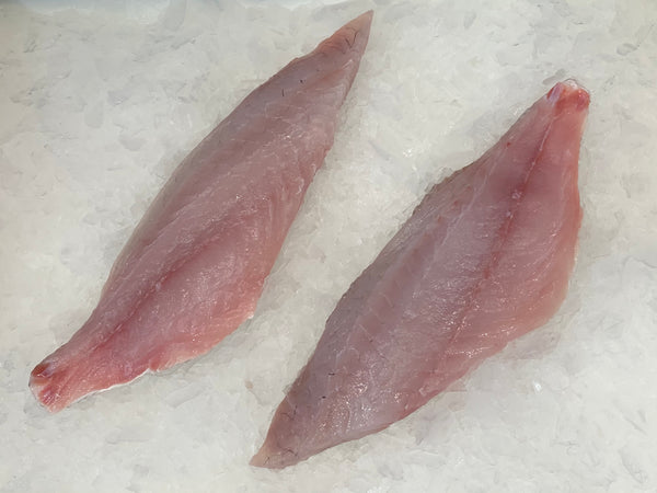 Australian Snapper Fillet | ZAG Seafood