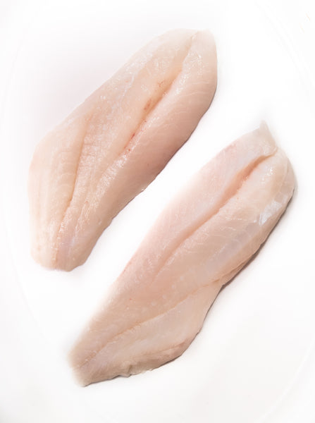 Australian Fresh Ocean Perch (Fillet) | ZAG Seafood